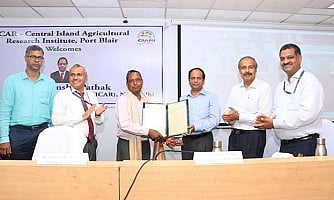 ‘Chinta Mango’ farmer’s variety registered in PPVFRA